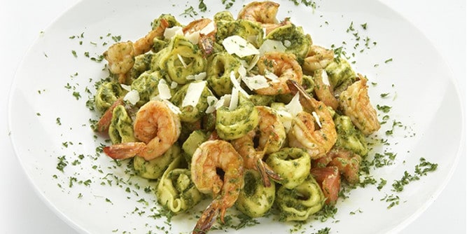 Pasta1 – Pastalini